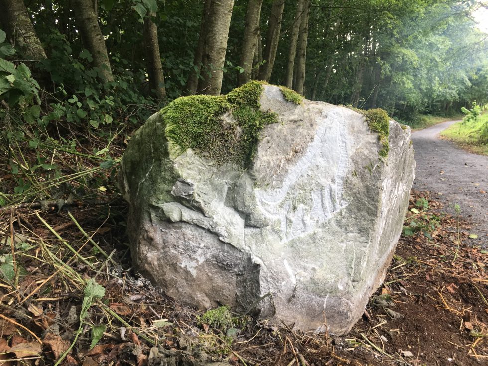 Heritage Trails in Terryland Forest Park - Galway National Park City