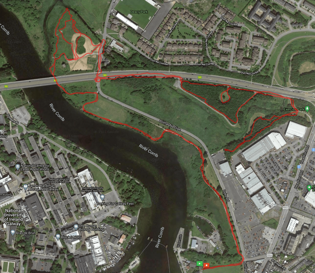 Terryland Forest Park Red Route - Galway National Park City