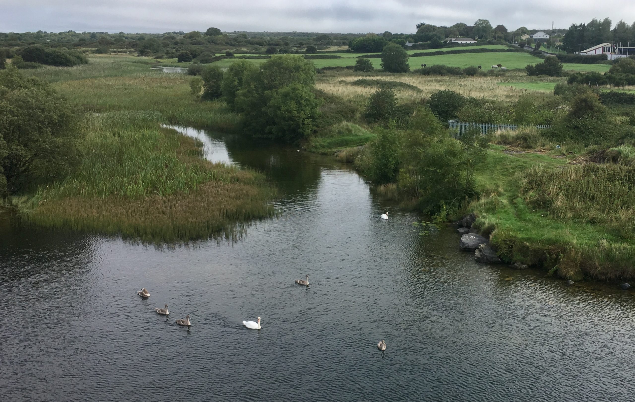 Terryland River - Galway National Park City