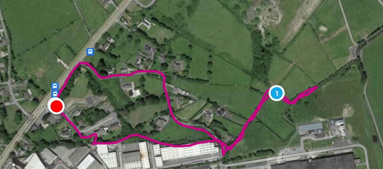 Castlegar Mass Path & Parkmore Boreen - Galway National Park City